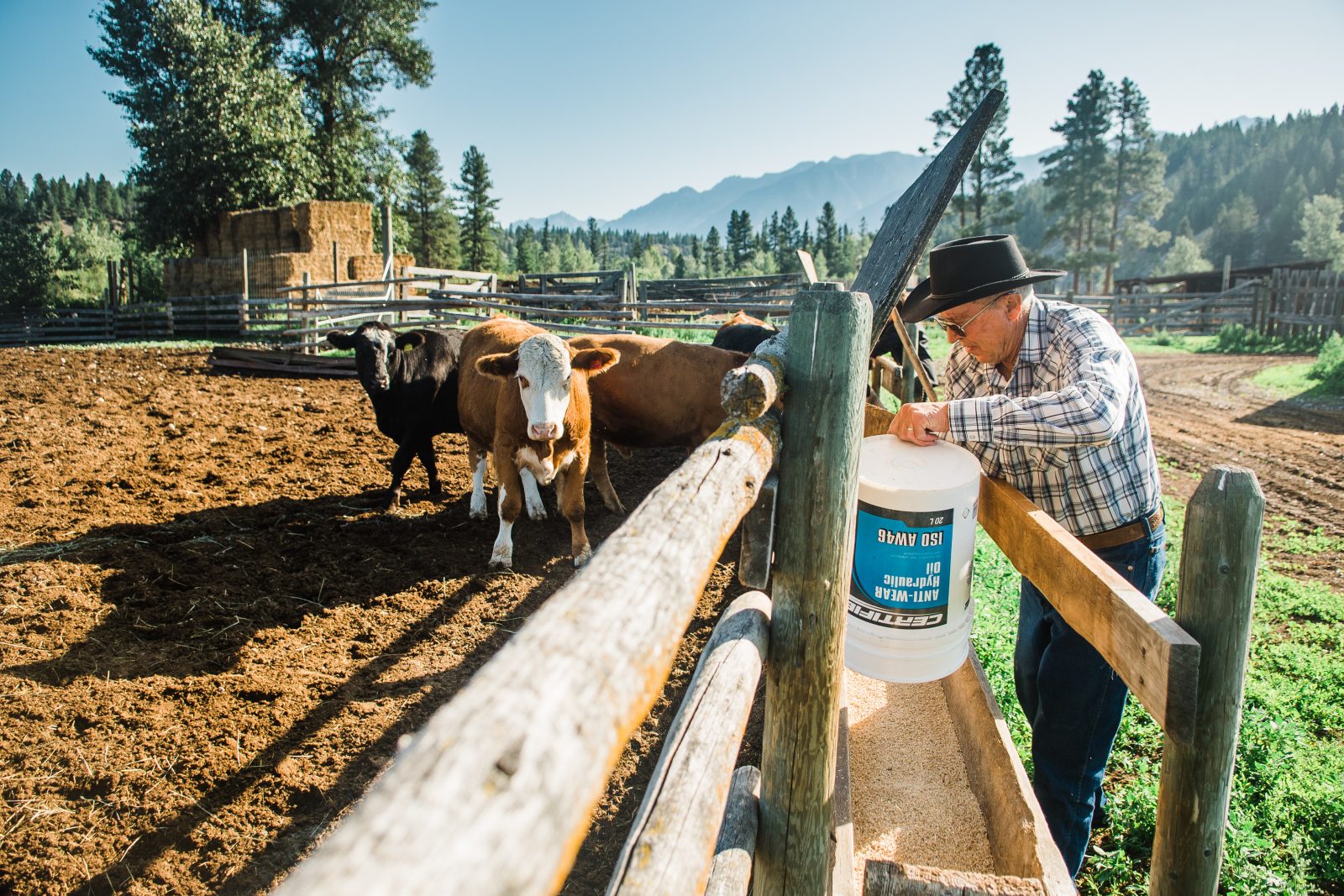 Life on the Range - B-E Ranch | Basin Stories