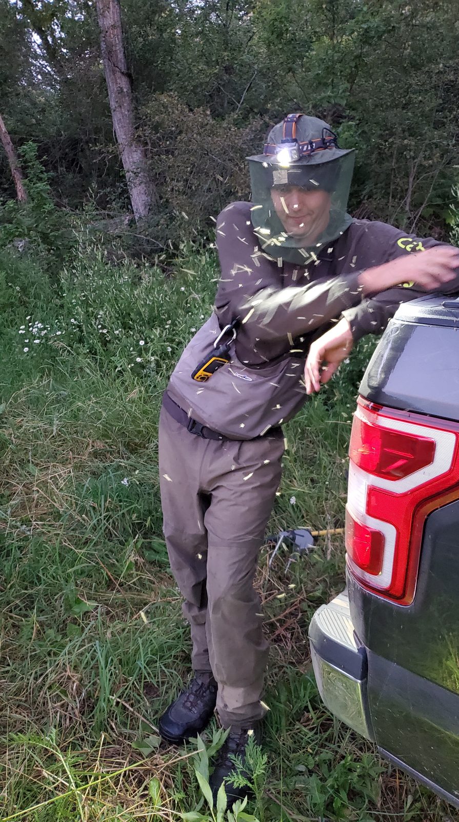 Expert Team Leaps into Action to Protect Endangered Leopard Frogs ...