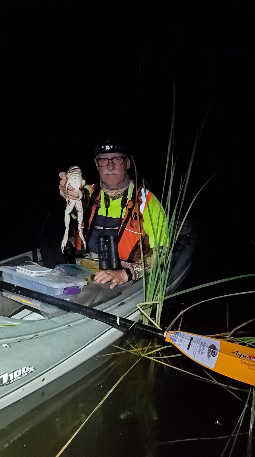 Expert Team Leaps into Action to Protect Endangered Leopard Frogs ...