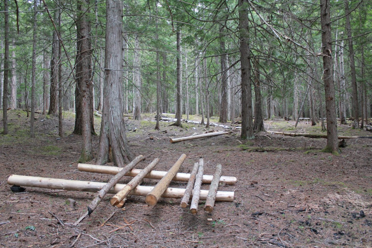 Building wildfire resilience | Basin Stories